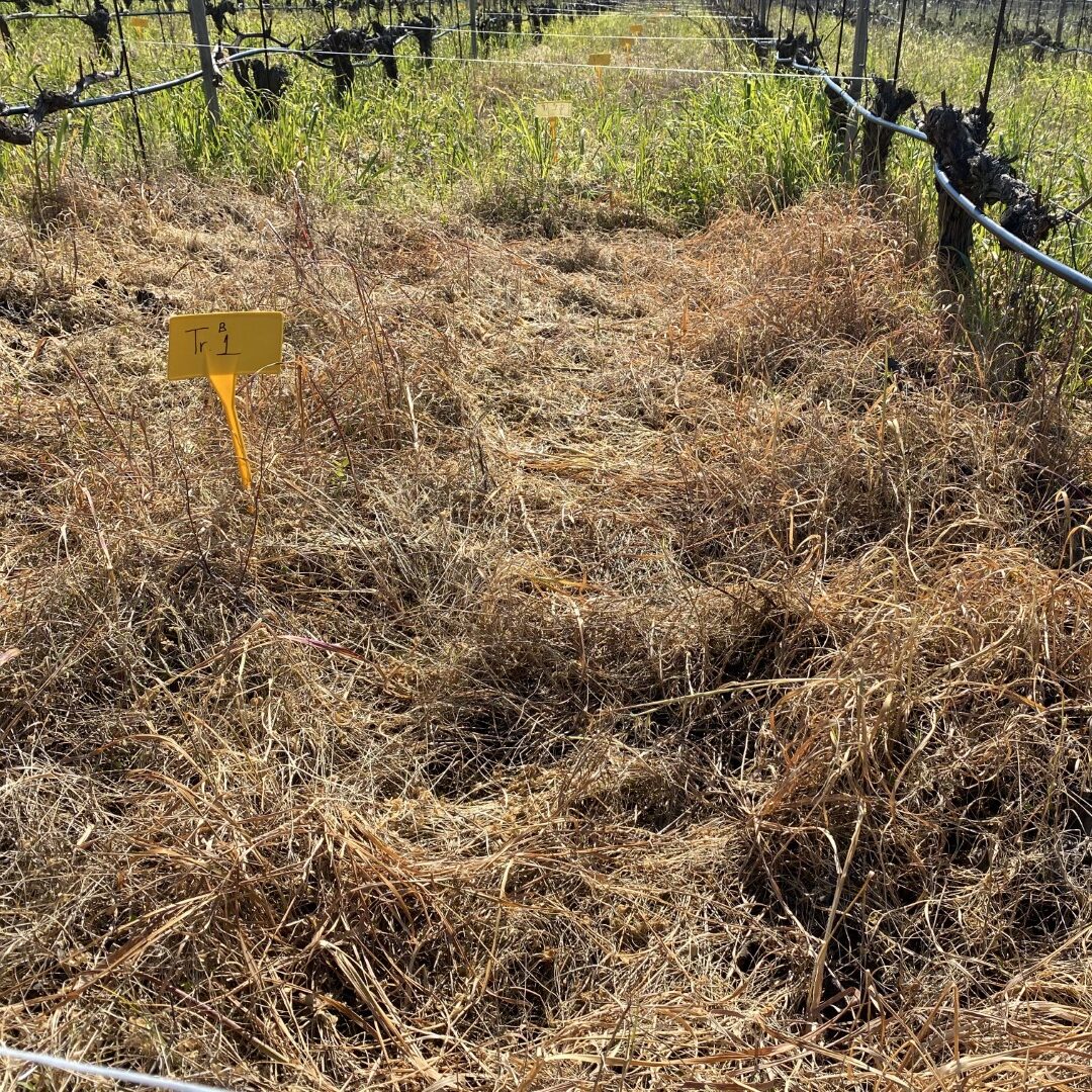 AWM Practices - Good